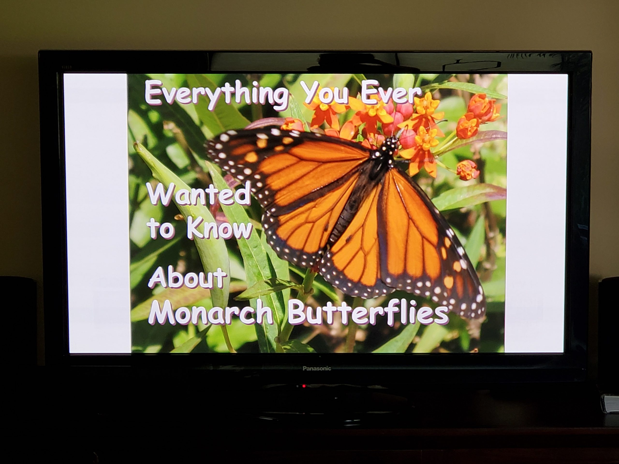 Links from "Everything You Ever Wanted to Know About Monarch ...